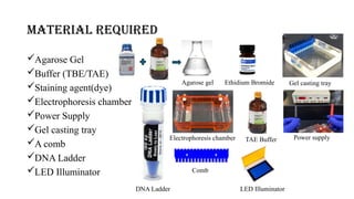 Agarose Gel Electrophoresis , Complete laboratorycal procedure explain | PPT