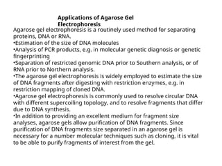 Agarose gel electrophoresis for basic molecular biology experiments | PPT