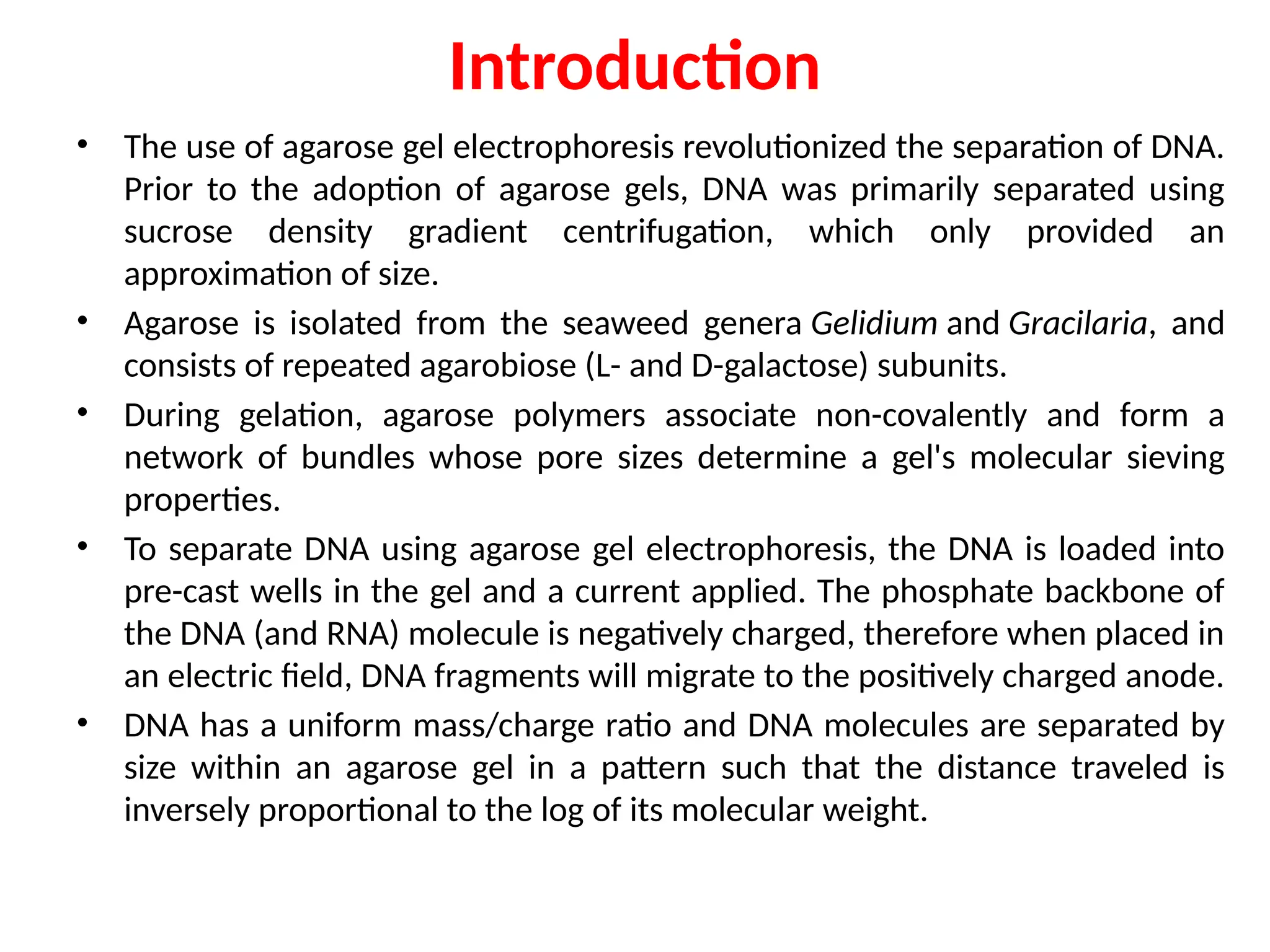 Protocols of DNA Agarose gel electrophoresis | PPTX