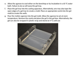 Protocols of DNA Agarose gel electrophoresis | PPTX