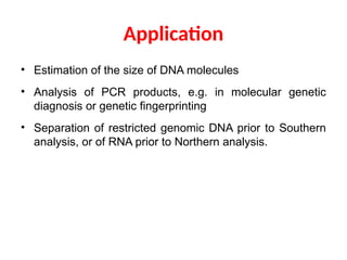 Protocols of DNA Agarose gel electrophoresis | PPTX