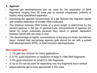 Protocols of DNA Agarose gel electrophoresis | PPTX