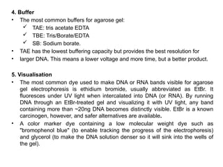 Protocols of DNA Agarose gel electrophoresis | PPTX