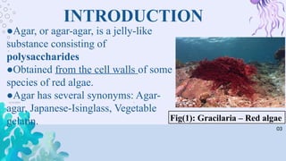 Agar-Agar I Carbohydrates I Presentation | PPTX