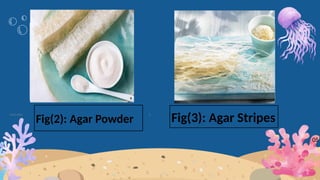 Agar-Agar I Carbohydrates I Presentation | PPTX