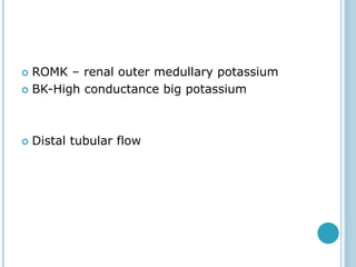 Renal system potassium and urea handling by Agasi | PDF
