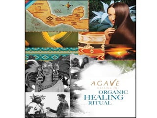Presentacion de Agave | PPT