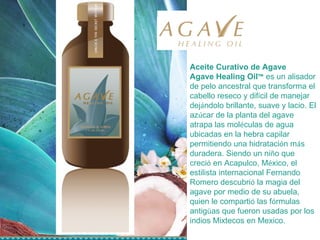 Presentacion de Agave | PPT