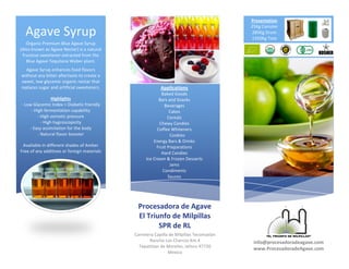 Agave Syrup Brochure | PDF