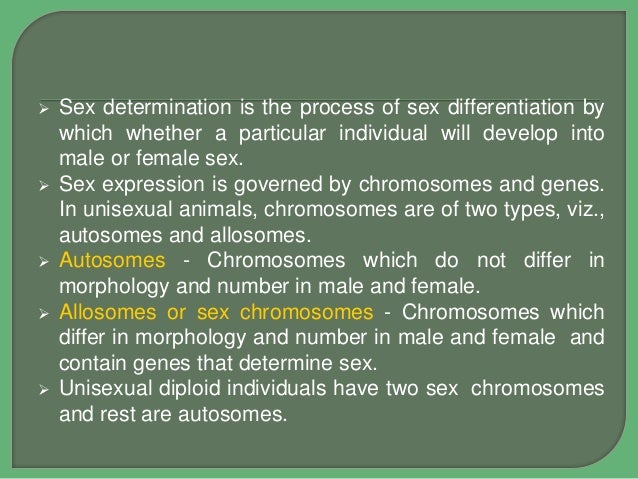 Sex Determination