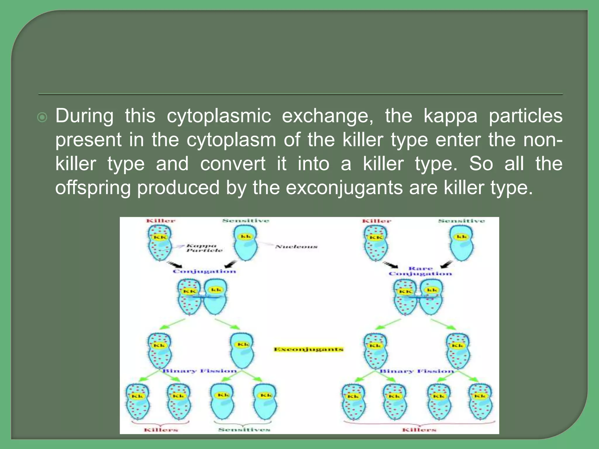 Cytoplasmic inheritance | PPTX