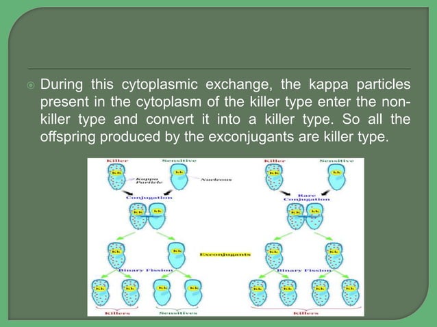 Cytoplasmic inheritance | PPTX | Genetics | Science