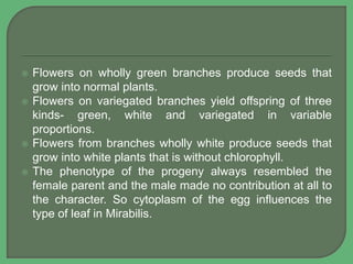 Cytoplasmic inheritance | PPTX