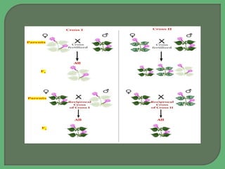 Cytoplasmic inheritance | PPTX