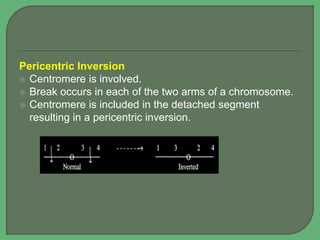 Chromosomal abeeration | PPTX