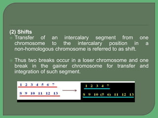 Chromosomal abeeration | PPTX