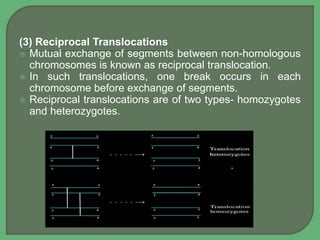 Reciprocal Translocation