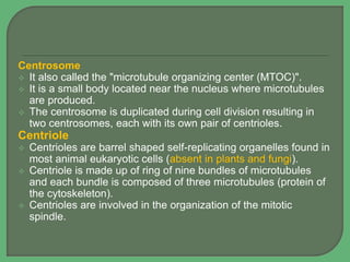 Cell & Its Orgenells | PPTX