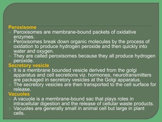 Cell & Its Orgenells | PPTX