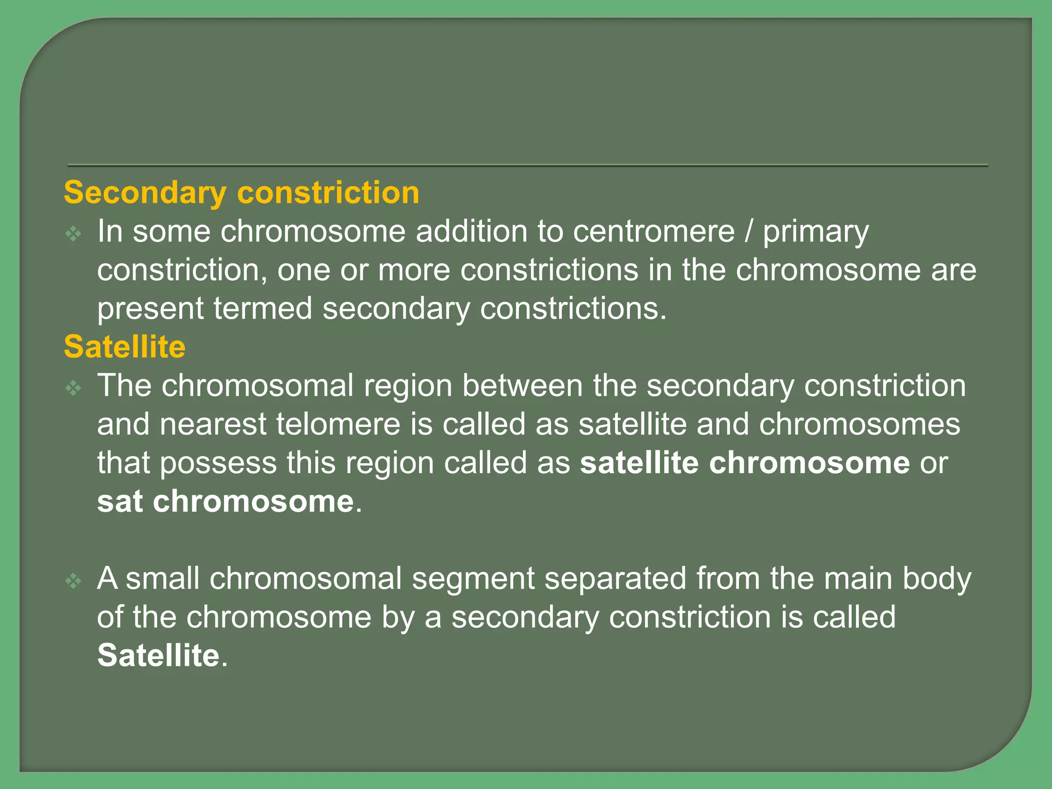 Chromosome and its structure | PPTX