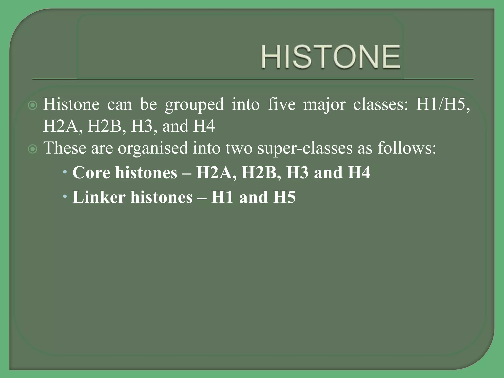Chromosome and its structure | PPTX
