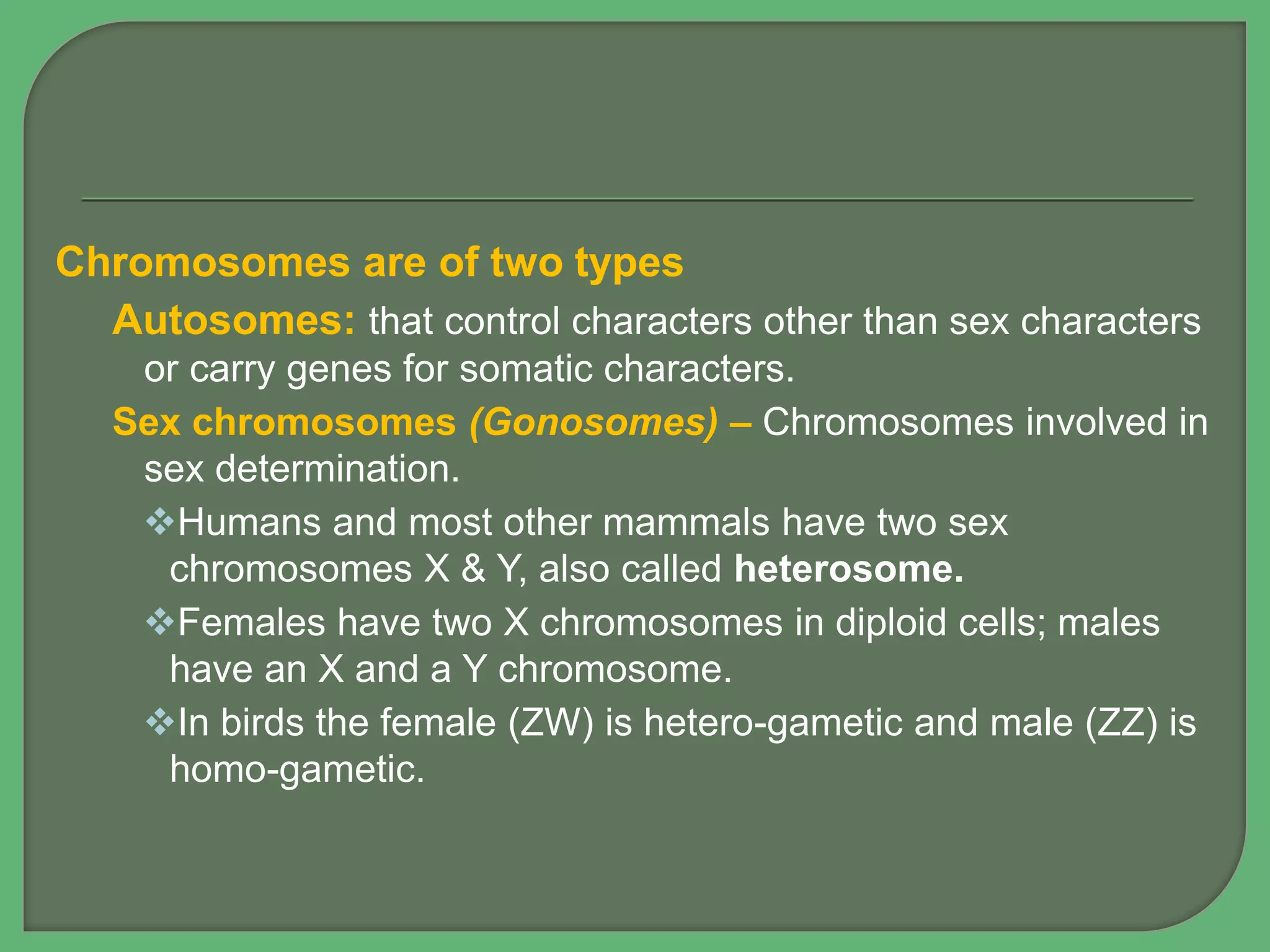 Chromosome and its structure | PPTX