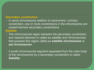 Chromosome and its structure | PPTX