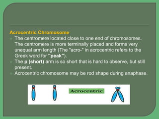 Chromosome and its structure | PPTX