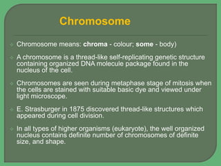 Chromosome and its structure | PPTX