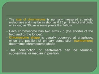 Chromosome and its structure | PPTX
