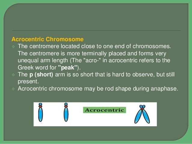 Chromosome and its structure