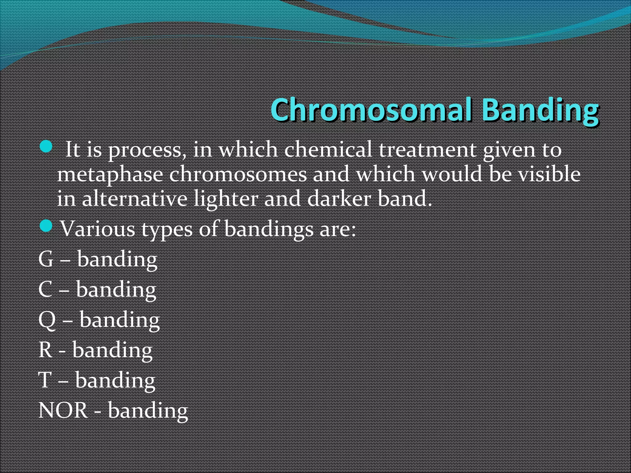 karyotyping and cell division.ppt.. | PPT