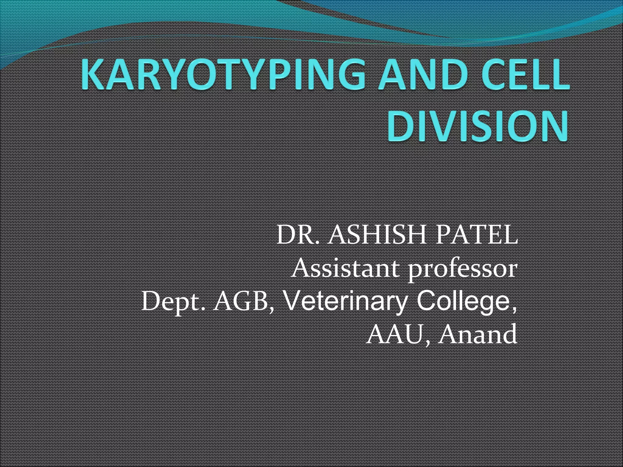 karyotyping and cell division.ppt.. | PPT