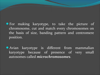 karyotyping and cell division.ppt.. | PPT