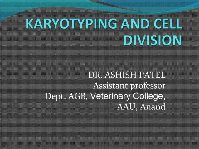karyotyping and cell division.ppt.. | PPT