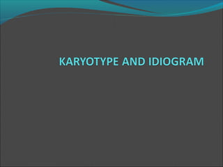 karyotyping and cell division.ppt.. | PPT