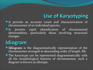 karyotyping and cell division.ppt.. | PPT