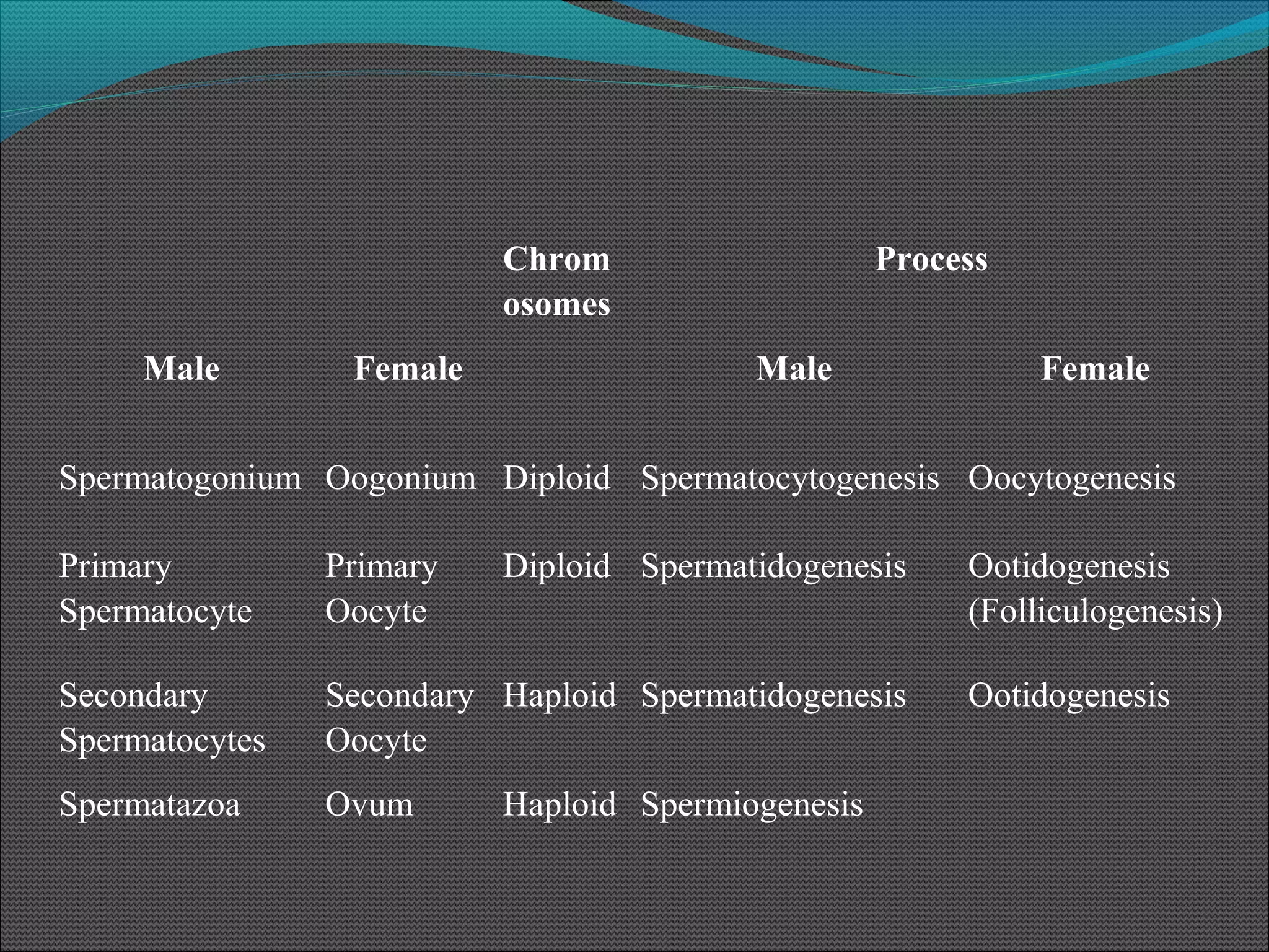 Meiosis.ppt.. | PPT