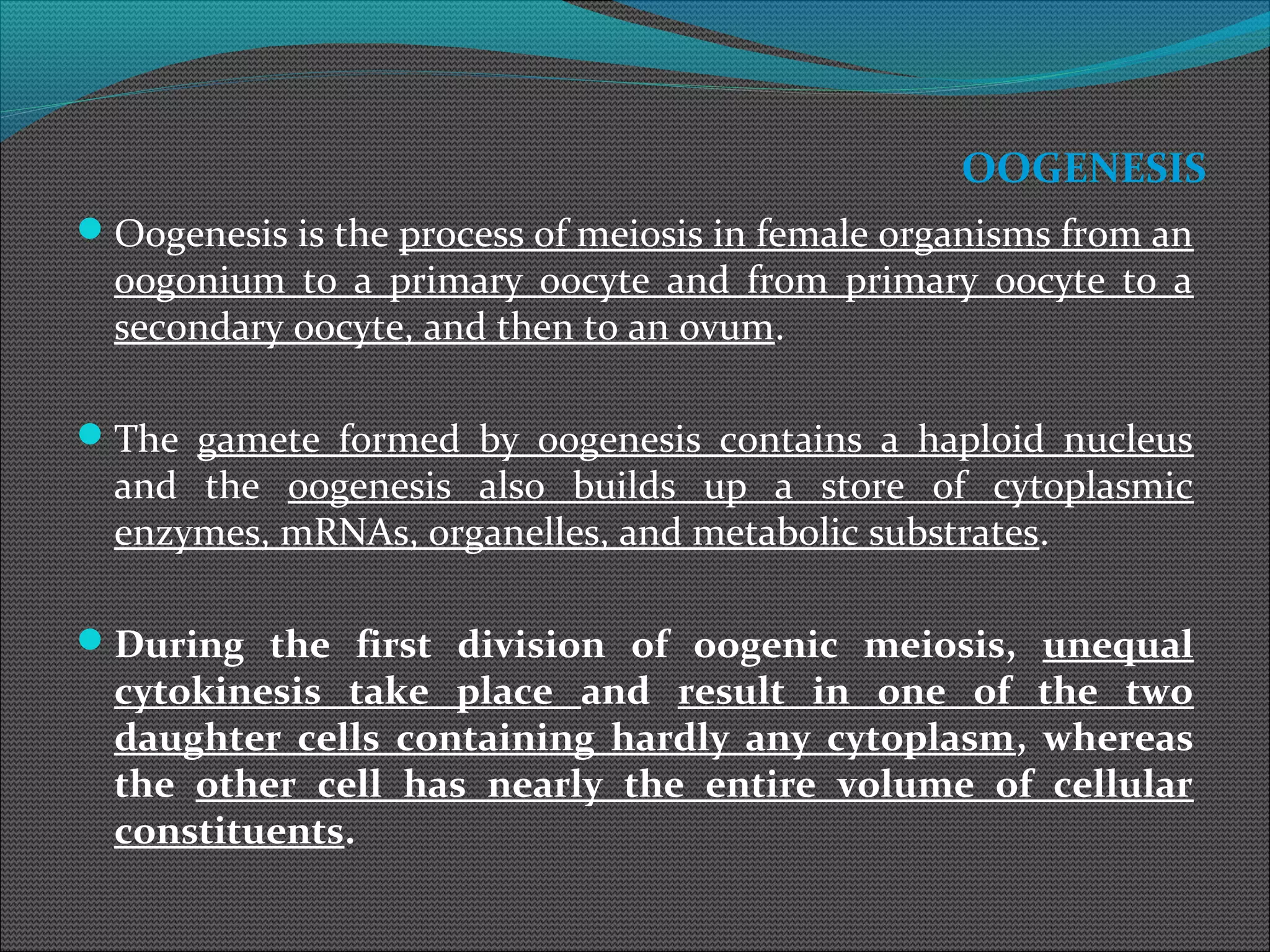 Meiosis.ppt.. | PPT