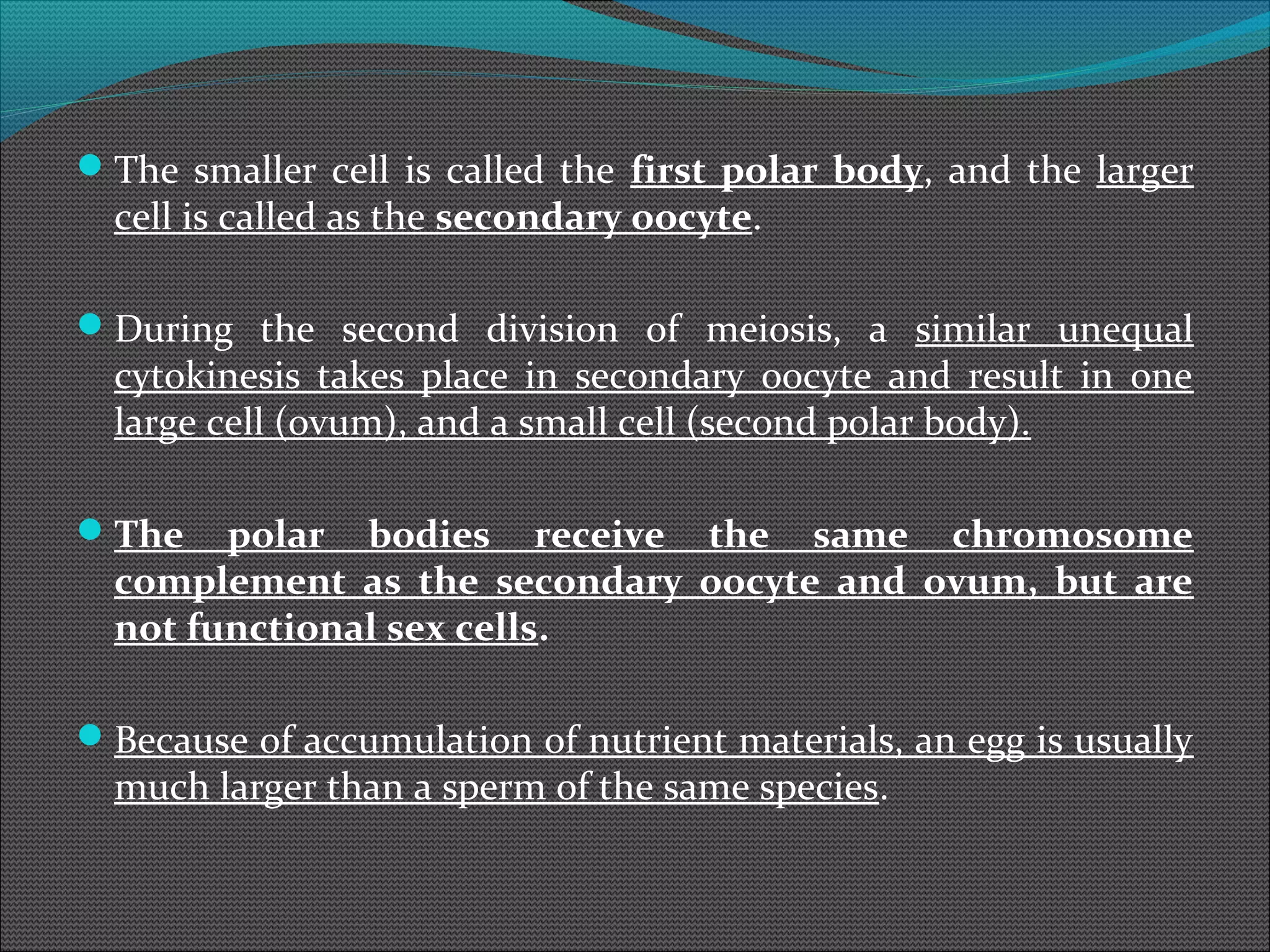 Meiosisppt Ppt