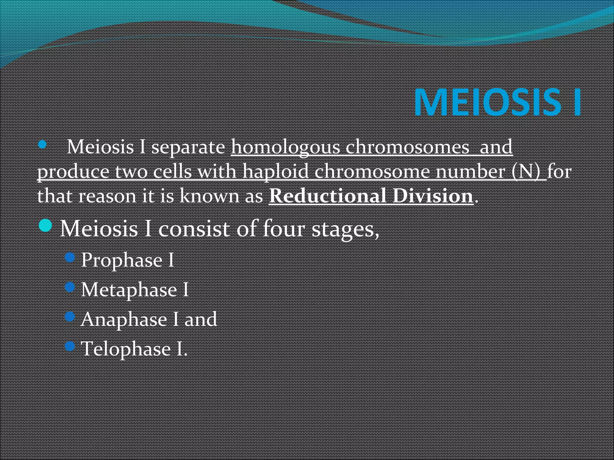 Meiosis.ppt.. | PPT