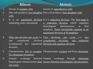 Meiosis.ppt.. | PPT