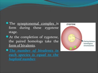 Meiosis.ppt..