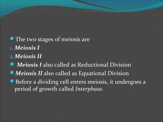 Meiosis Powerpoint High School