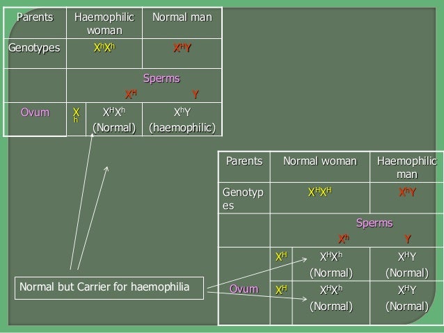 Sex Linked Inheritance Sex Influence Inheritance And Sex Limited Cha…