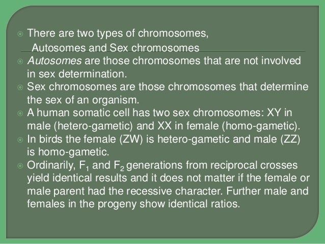 Sex Linked Inheritance Sex Influence Inheritance And Sex Limited Cha…