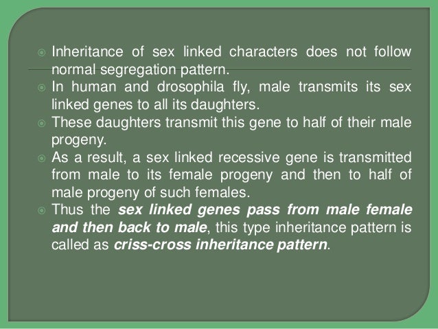 Sex Linked Inheritance Sex Influence Inheritance And Sex Limited Cha…