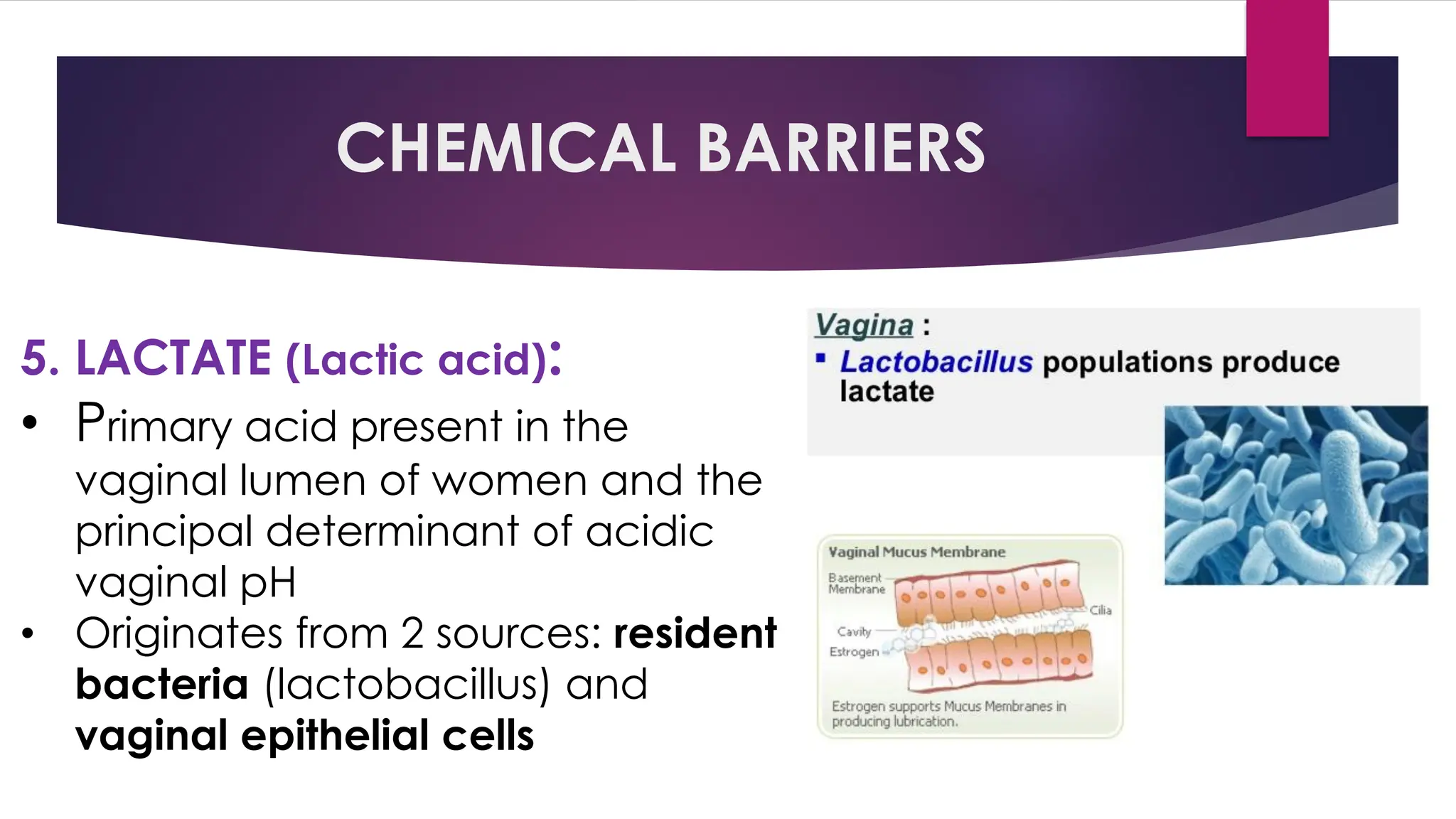 AGB 453 DEFENSE MECHANISMS IN ANIMALS.pdf