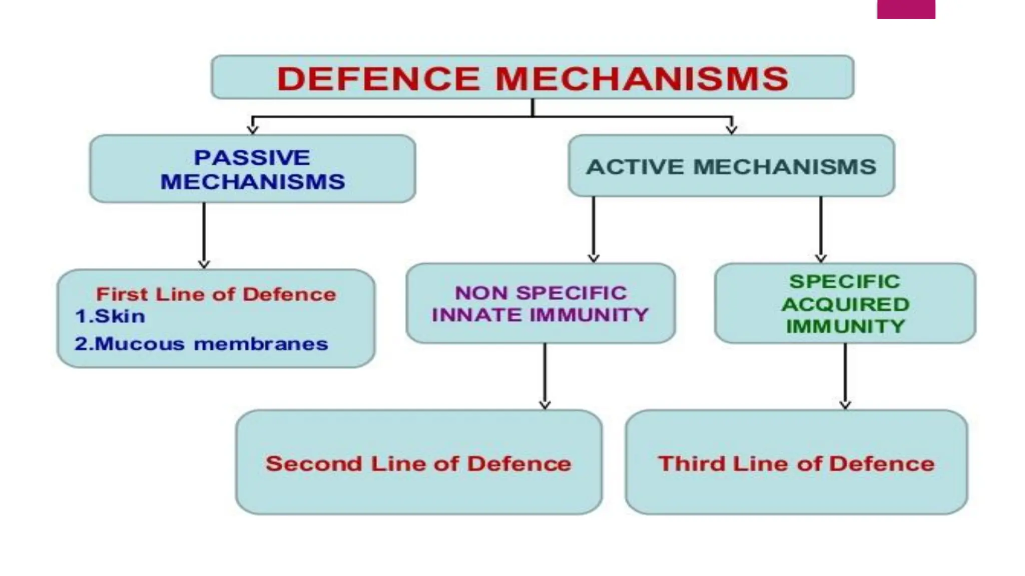 AGB 453 DEFENSE MECHANISMS IN ANIMALS.pdf