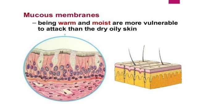 AGB 453 DEFENSE MECHANISMS IN ANIMALS.pdf